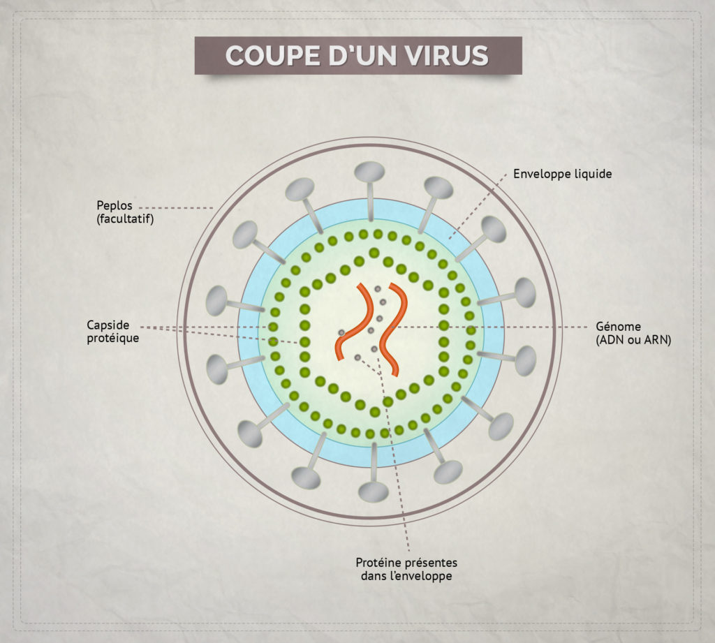 Définir le vivant – Les origines de la vie – Retracer la Saga du vivant
