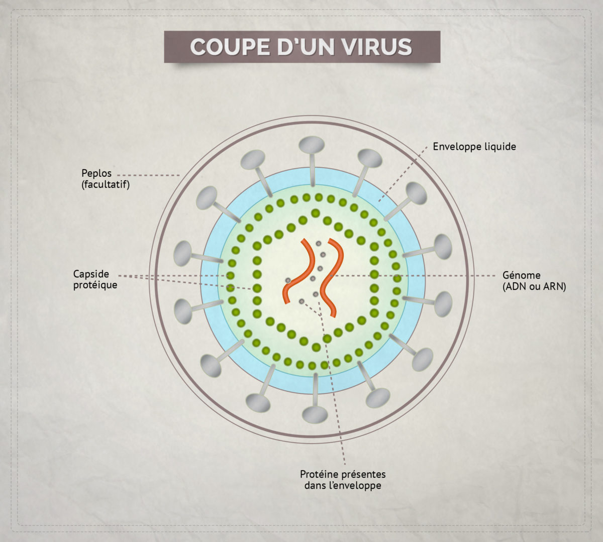 Définir le vivant – Les origines de la vie – Retracer la Saga du vivant